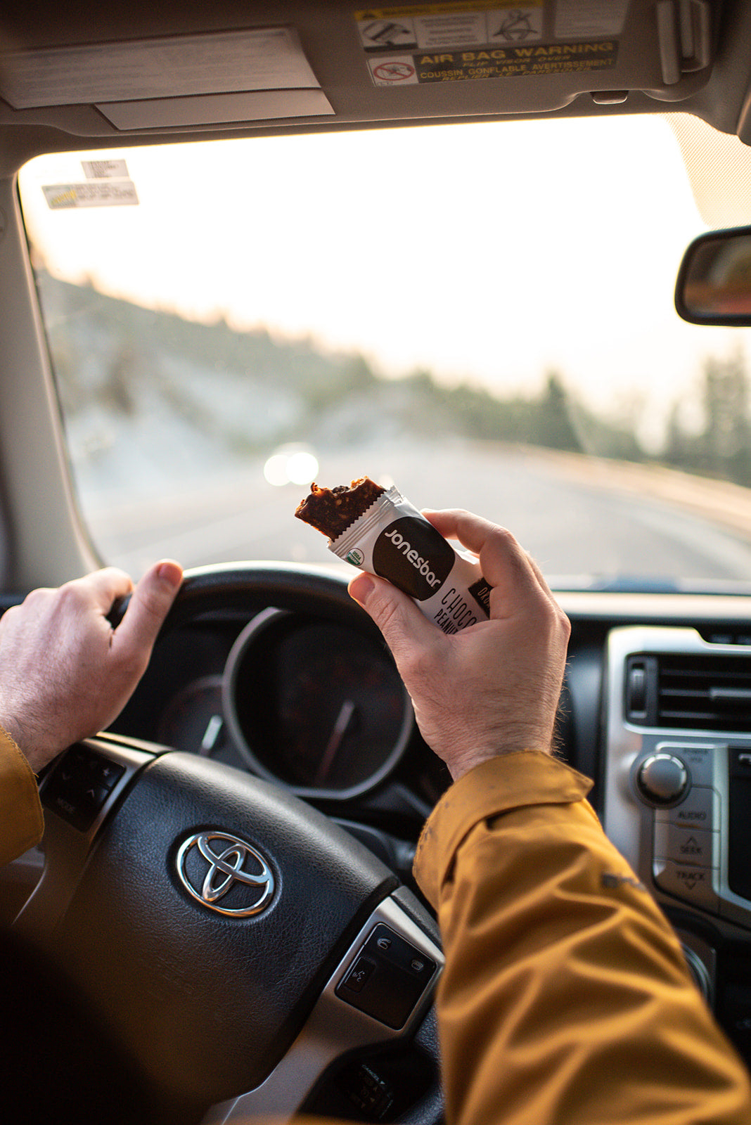 organic chocolate peanut butter energy bar | jonesbar